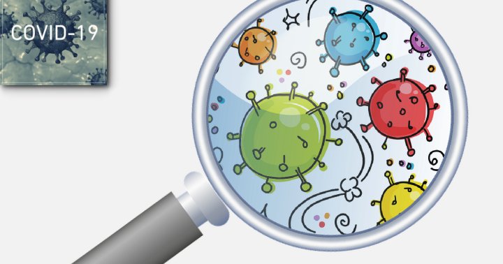 The role of science and scientists in mitigating the COVID-19 pandemic ...