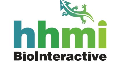 Hhmi New Logo HHMI: Advancing Scientific Research & Education
