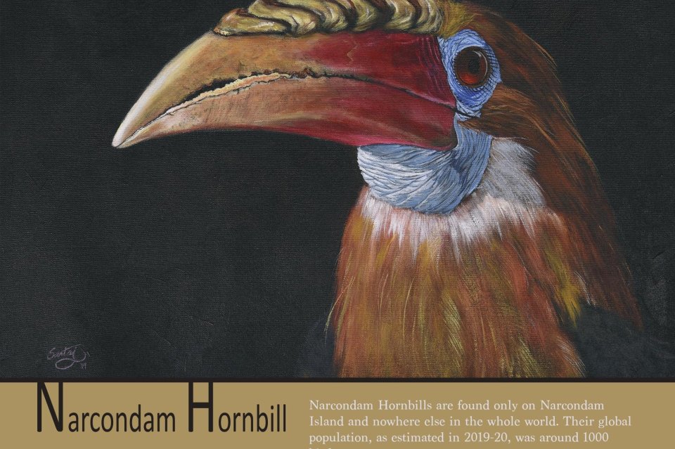 Spreading the word about the Narcondam Island and its beautiful ...