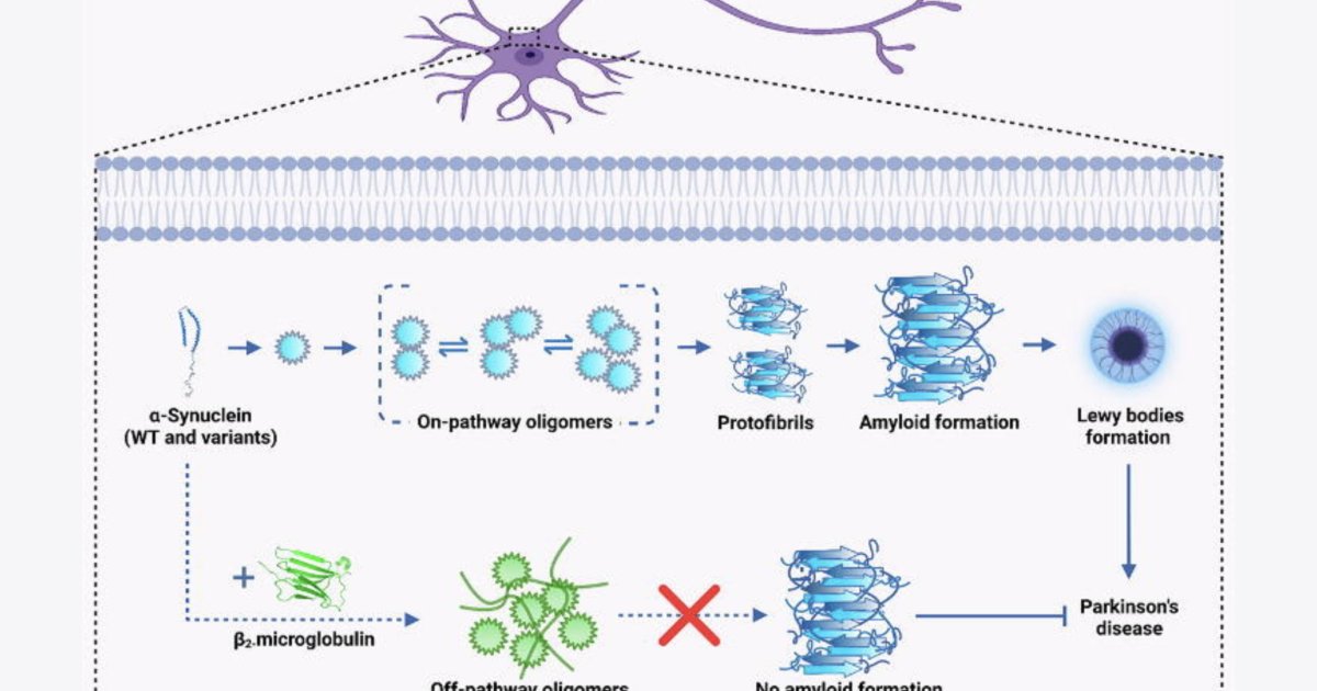 A defence protein brings hope in fighting Parkinson’s - IndiaBioscience