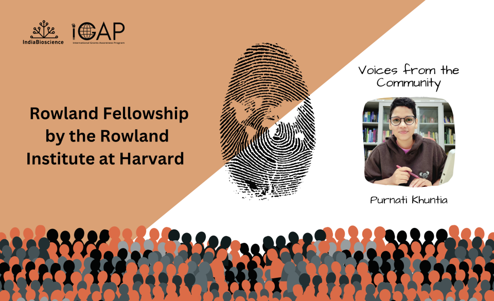 Young researchers: Charting a path to independent research with the ...
