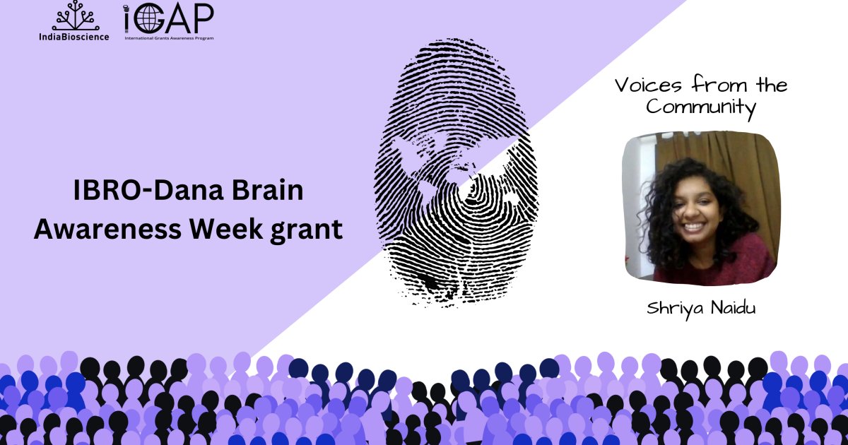 بورسیه هفته آگاهی از مغز IBRO-Dana: پل زدن علوم اعصاب و جامعه | پارسا ...