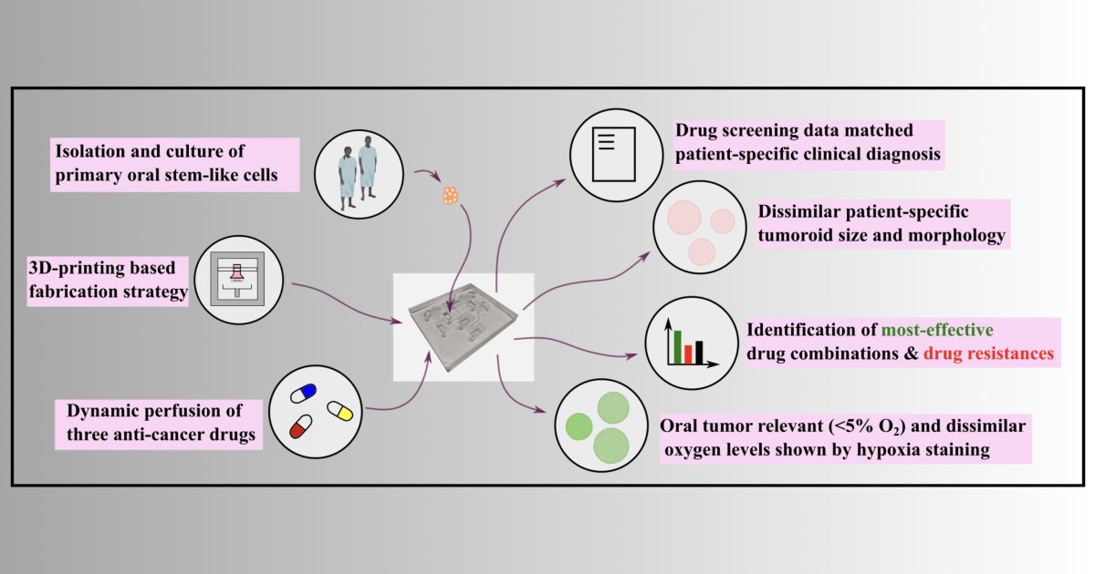A 3D-printed device for personalised screening of drug combinations in ...