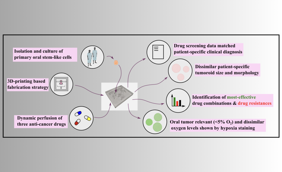 A 3D-printed device for personalised screening of drug combinations in ...