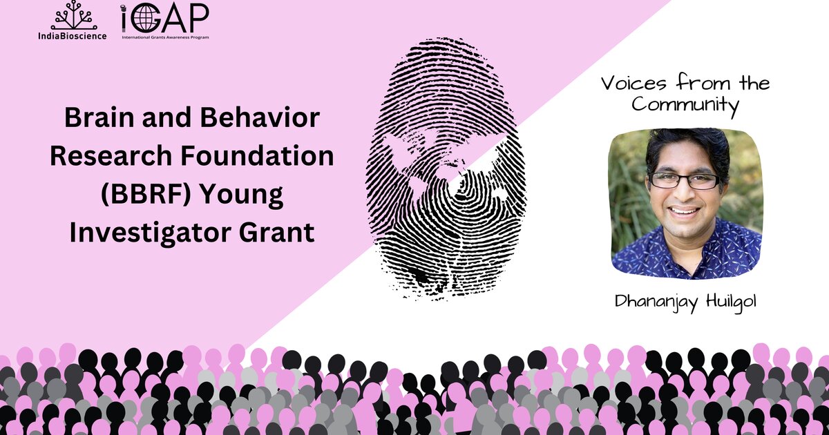 My story of a successful Brain and Behavior Research Foundation (BBRF ...