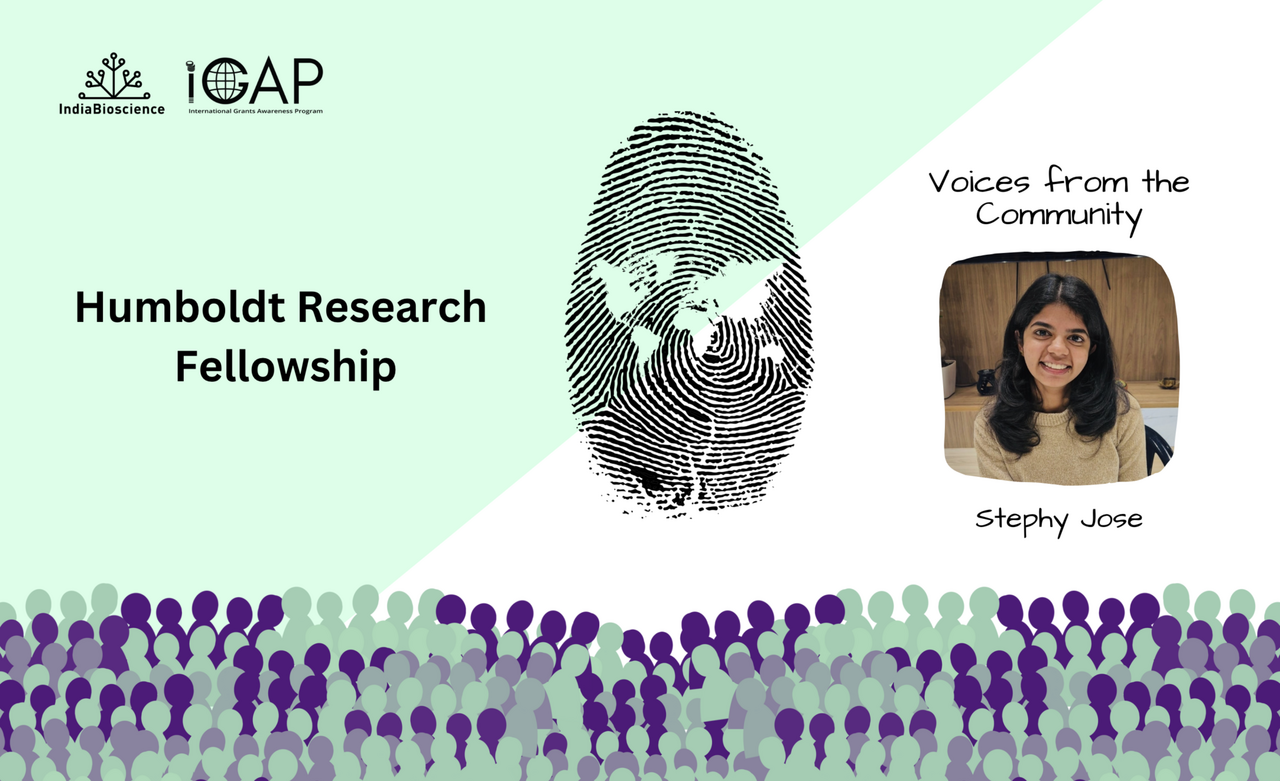 From PhD to Postdoc: My path to the Humboldt Research Fellowship ...