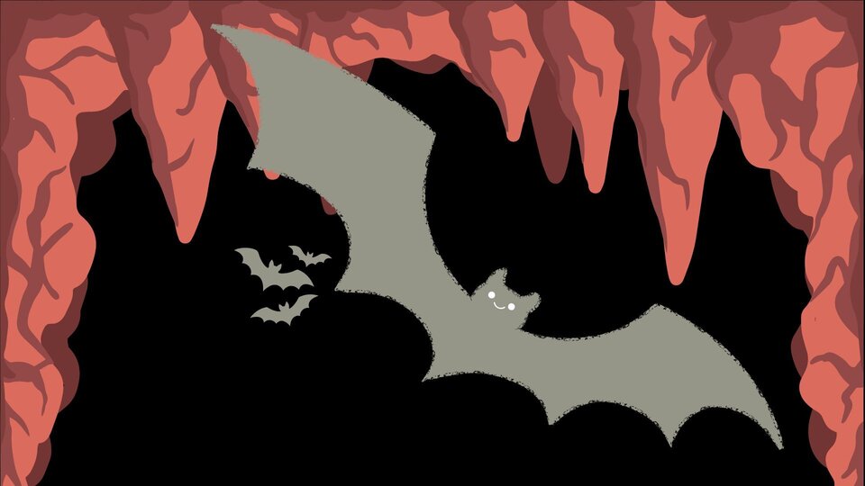 What bats in central Himalayas want us to know about their caves ...