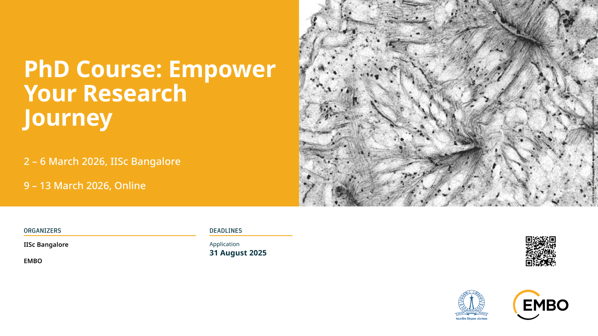 EMBO PhD Course: Empower Your Research Journey - IndiaBioscience