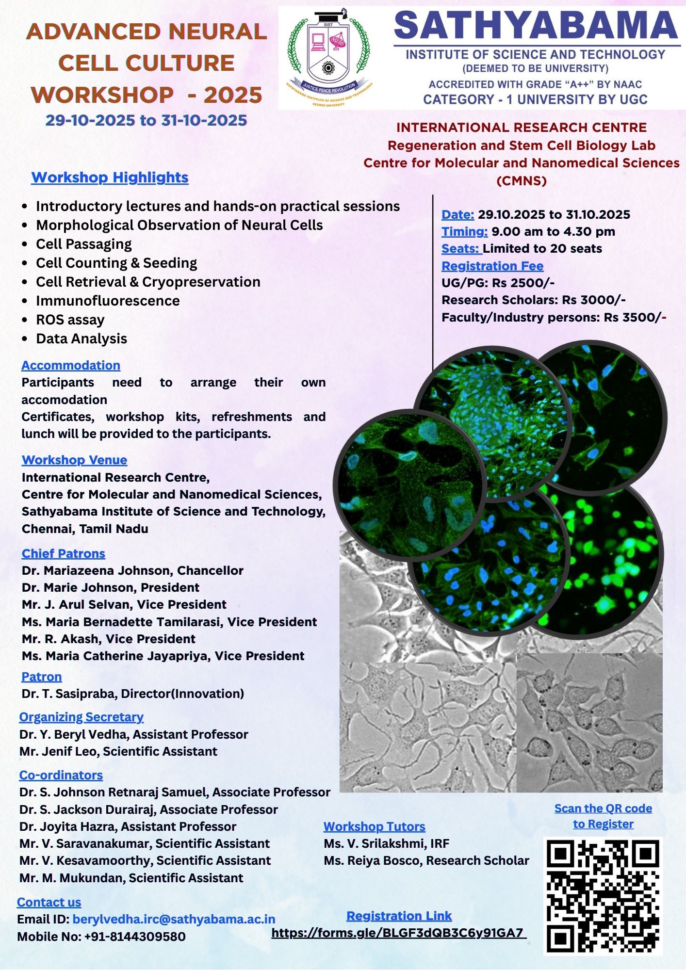 Advanced Neural Cell Culture - IndiaBioscience